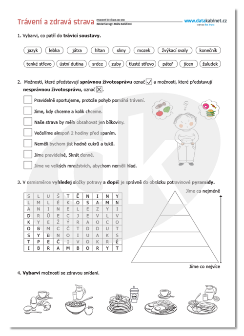 Trávení a zdravá strava | datakabinet.cz
