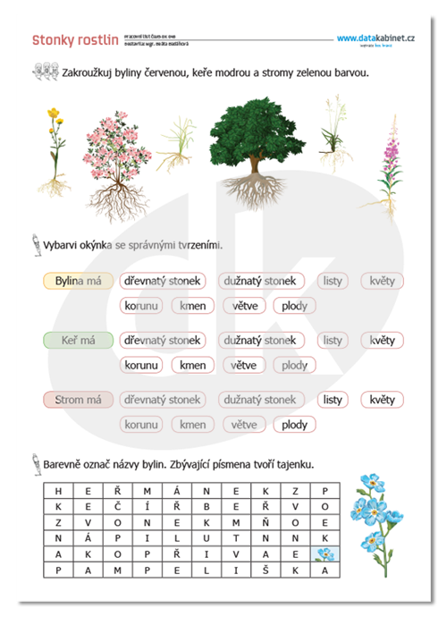 Stonky rostlin | datakabinet.cz