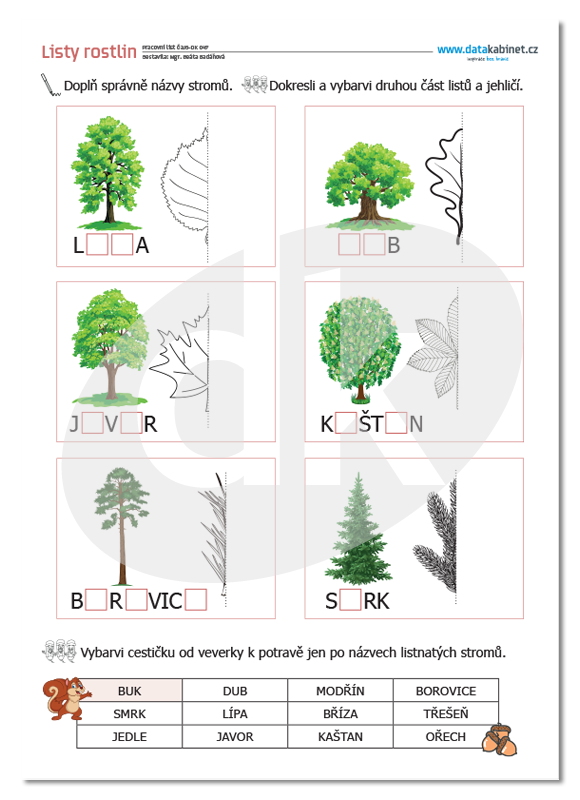 Listy rostlin | datakabinet.cz
