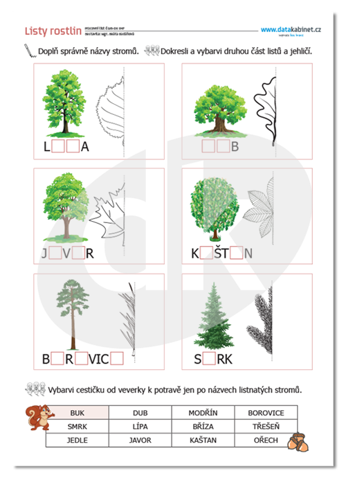 Listy rostlin | datakabinet.cz