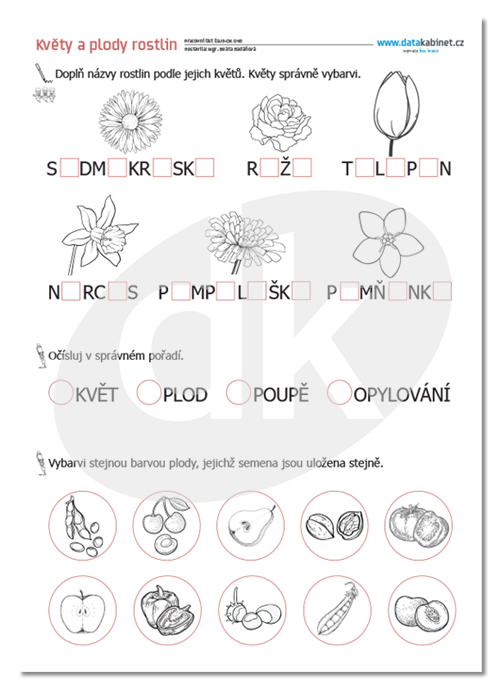 Květy a plody rostlin | datakabinet.cz