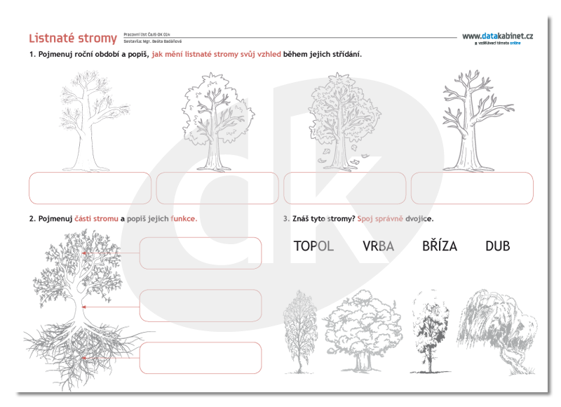 Listnaté stromy | datakabinet.cz