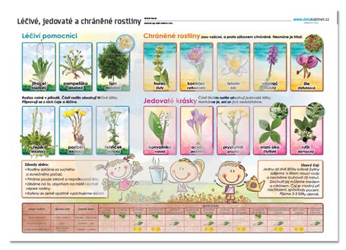 Léčivé, jedovaté a chráněné rostliny | datakabinet.cz