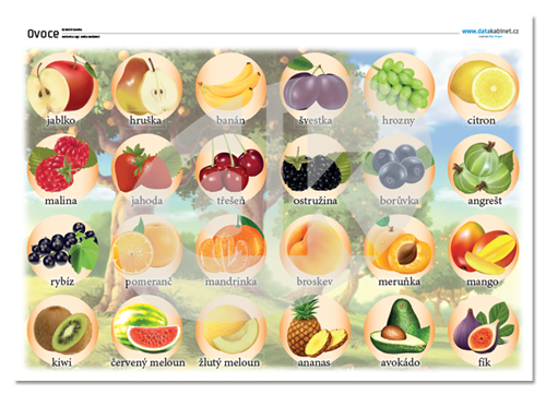 Ovoce | datakabinet.cz