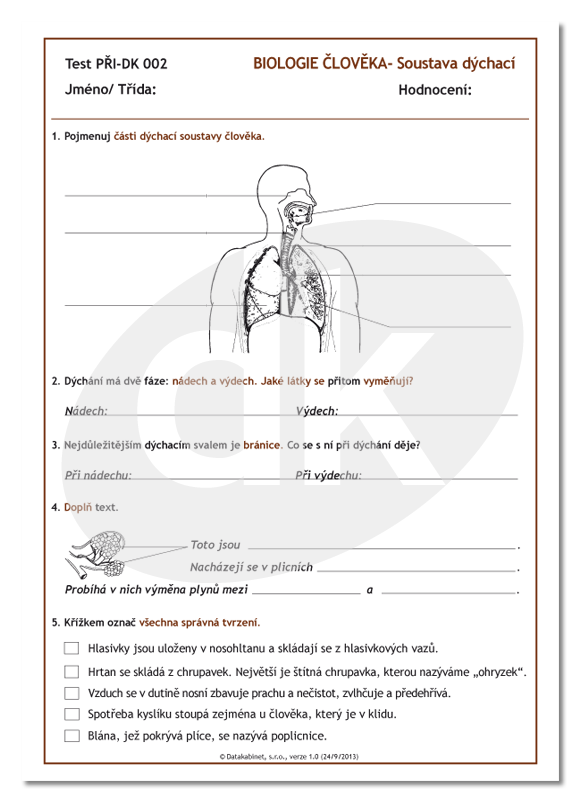 Člověk - Soustava dýchací - test | datakabinet.cz
